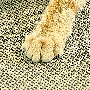 Kitty City XL Wide Corrugate Cat Scratchers 3 Pieces, Cat Scratching, Cat Scratch Pad, Door Clips