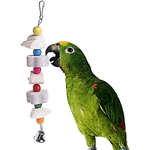 Litewoo Parrot Bird Chew Toys 2-Pcs, Bird Beak Trim Cuttlebone Calcium Stone Lava Block Chew Toy with Bell for Parakeet Conure Lovebird Cockatiel Finch Budgie Parrots