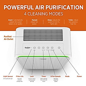 Aprilaire Allergy True HEPA Room Air Purifier 9550 with 3-Stage Filtration, Captures Allergens & Odors, Ozone Free, 495 sq. ft. Rooms