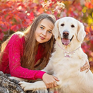 24 Pieces Blank Acrylic Dog Tag Bone-Shaped Acrylic Dog ID Tags with 24 Pieces Key Chain Rings for DIY Dogs and Cats Pet Name Number Tags Crafts Decorations, 1.49 x 1 Inch