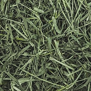PremiYum Standlee Western Timothy Grass Hay Small Animal Food for Rabbits, Guinea Pigs, and Chinchillas, 20 lb. Box