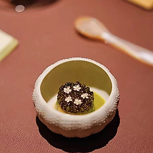 Hemoton Mini Seasoning Bowl Ceramic Sea Urchin Bowl Kitchen Dipping Dish Restuarant Supplies for Nuts Sauce Caviar Appetizer (White) Size L
