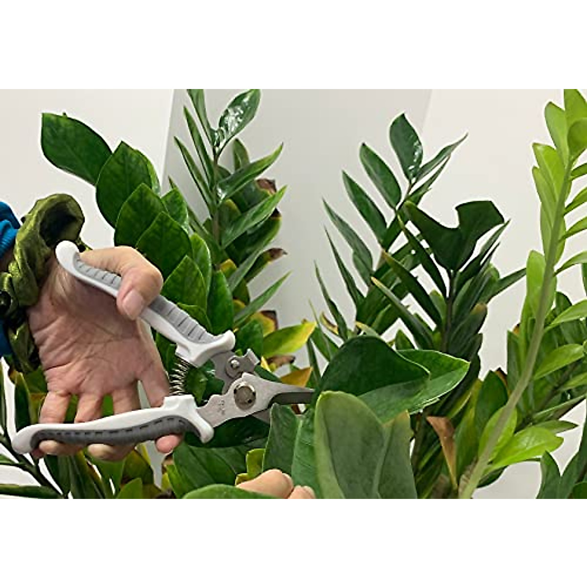 Yojii- Pruning Shears, Gardening Scissors, Pruning Shears, Natural Flower Scissors, Fruit Trees, Garden Trees, Bonsai Pruning Tools for Gardening, Farm Work, Home Gardening