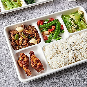 Leafarms 100% Compostable 10x8 / 5 Cp Tray [125-Pack], Heavy Duty Eco-Friendly Dinner Plates Disposable I Biodegradable Unbleached Sugarcane Eco Trays - (Color - White)