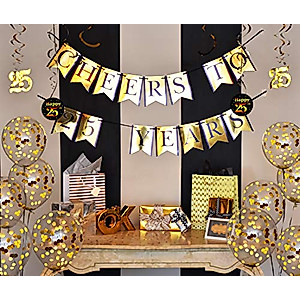 25th Birthday Party Decorations and Anniversary Pack - Cheers to 25 Years Banner, Balloons, Swirls and Confetti Party Supplies
