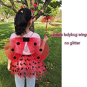 Danballto Ladybug Costume for Toddler Girls Tutu Wings Kids Halloween Costume for Girls Party Favo Dress Up r (red Black)