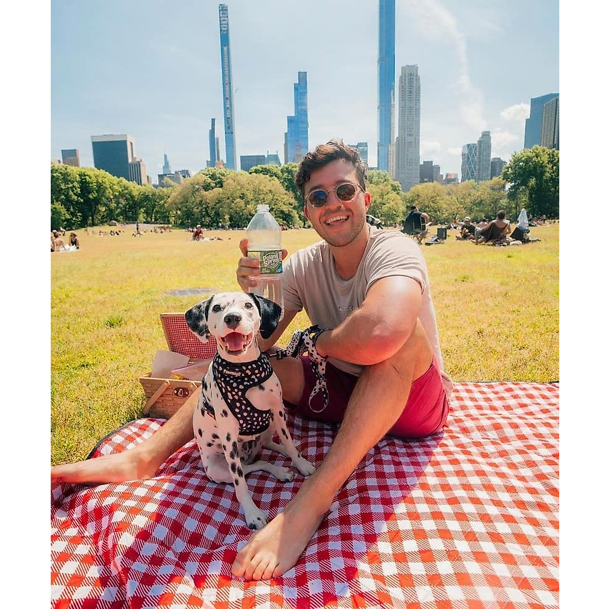 Poland Spring 100% Natural Premium Spring Water - Small, Mini 8 Fl Oz Bottles | Pack of 24