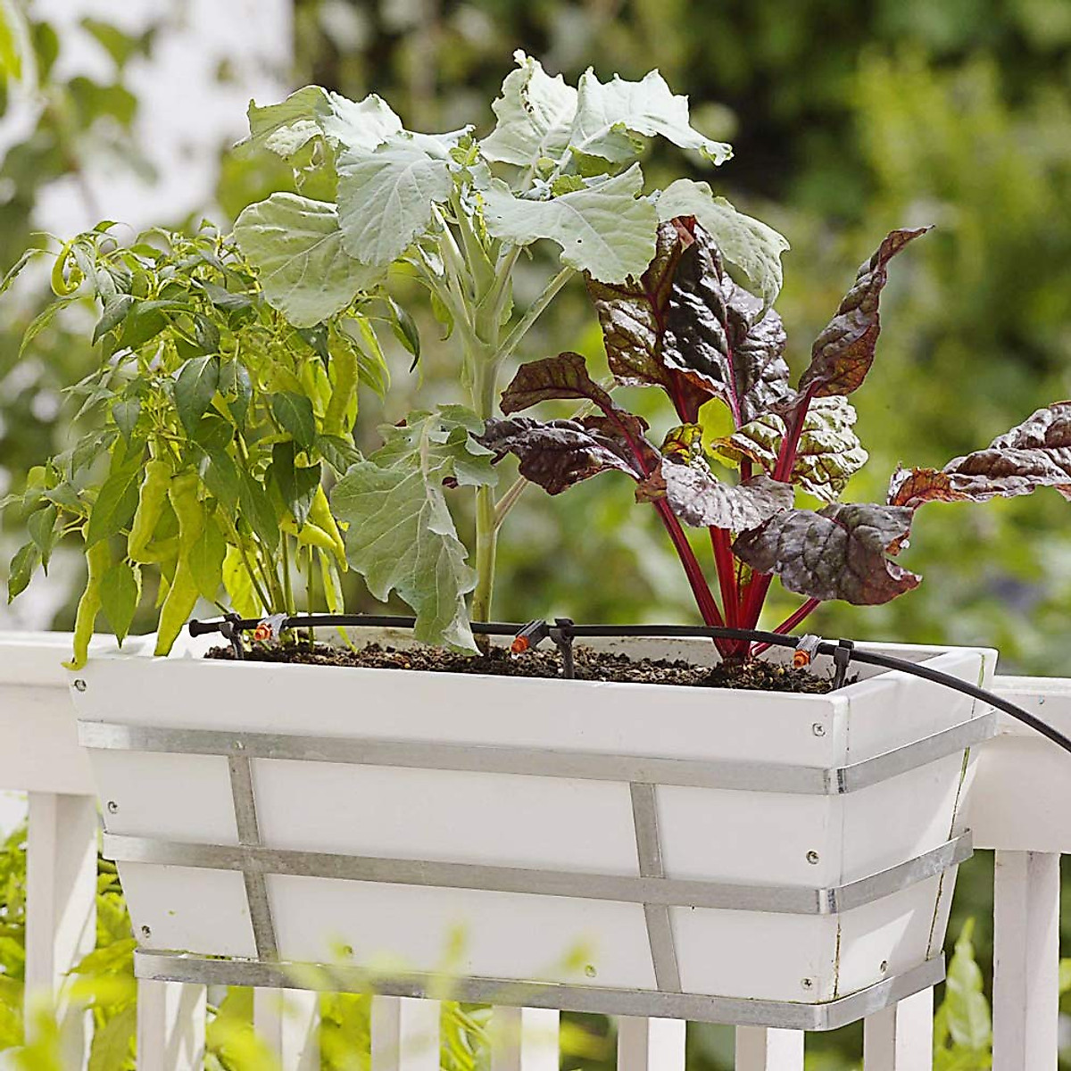 MultiOutools Distribution Tubing 3/8 inch Drip Irrigation Tubing Hose, 50FT Heavy Duty Drip Irrigation Kit for Lawn Garden Watering (3/8” tubing 50FT, Black)