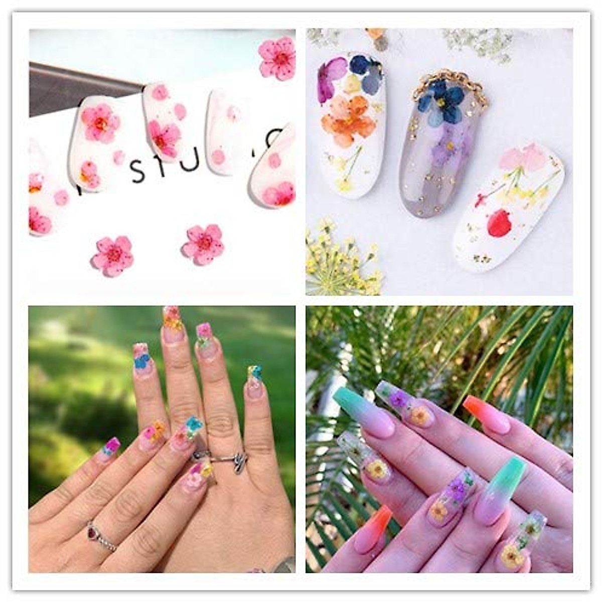 Valuu 3D Nail Dried Flowers Sticker，60 Five Petal Flower 12 Colors Natural Real Dry Flower Nail Stickers （60 Flowers）