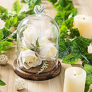 MyGift 6 Inch Small Clear Glass Cloche Bell Jar Display Case with Heart Top Handle and Dark Brown Wooden Base