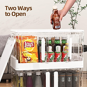 Storage Bins with Lids, 11 Gal Collapsible Storage Bins With Lids - Plastic Storage Bins with Lids, Large Closet Organizers and Storage, Double Door Stackable Storage Bins for Clothes (4 Pack)