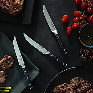 Messermeister Avanta 5” Fine Edge Steak Knife Set - German X50 Stainless Steel - Rust Resistant & Easy to Maintain - Includes 4 Steak Knives