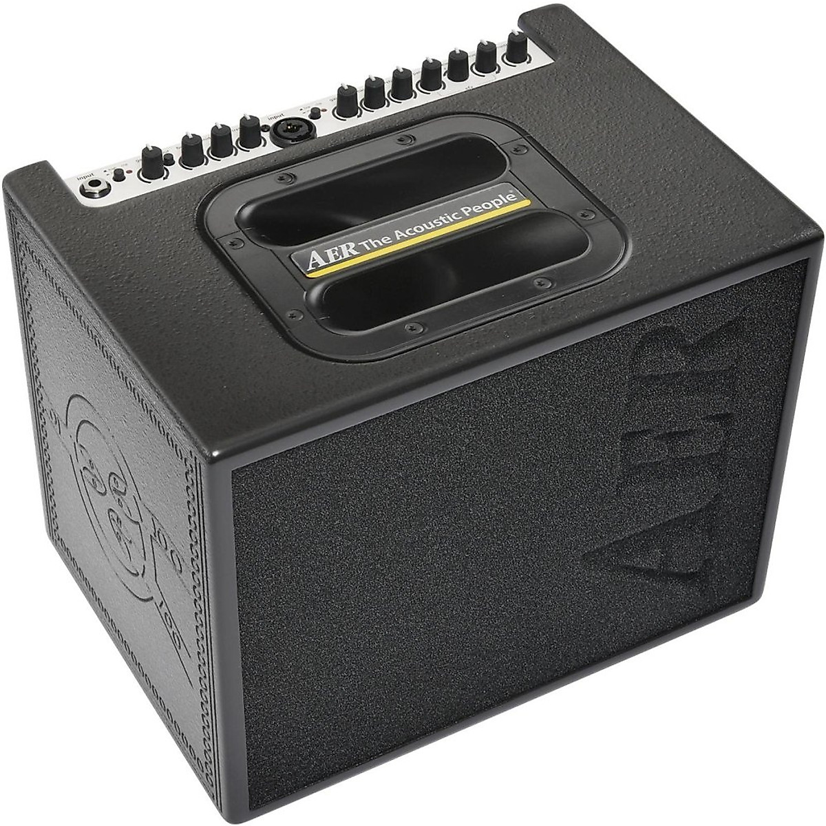 AER Tommy Emmanuel Signature Compact 60/3 60W 1x8 Acoustic Guitar Combo Amp