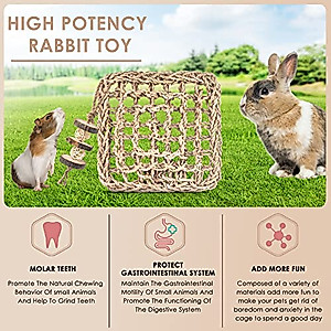 Bissap Seagrass Protector Mat with Treats, Rabbit Chews and Play for Bunny Chinchilla Guinea Pigs or Other Rodent Pets Hanging Chewing Toys