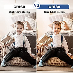 6 Pack Dimmable LED Light Bulbs 60 Watt Equivalent,6W E26 LED Bulb 2700K Warm White,A15 LED Bulb for Ceiling Fan Light Bulbs,Living Room,600LM