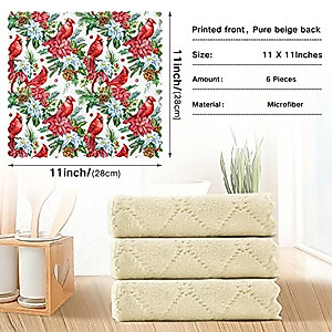 JSTEL Christms Bird Kitchen Dish Towels for Drying Dishes,Microfiber Hand Towel 6 Pack Kitchen Dishcloths Xmas Dish Towels