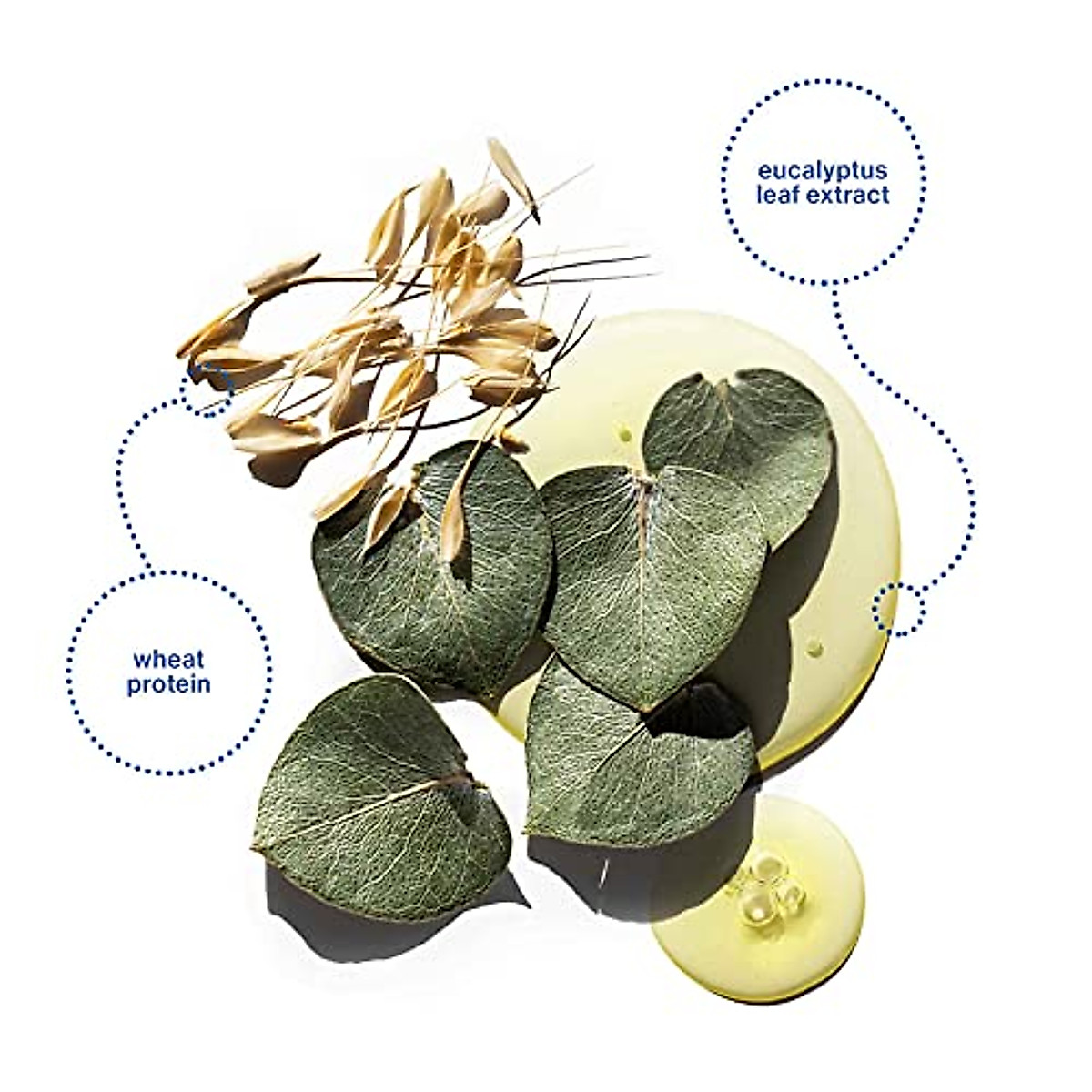 Pureology Hydrate Sheer Nourishing Shampoo | For Fine, Dry Color Treated Hair | Sulfate-Free | Silicone-Free | Vegan