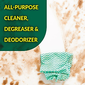 Simple Green All-Purpose Cleaner (Pack of 3) + Windex Glass Cleaner (Pack of 2)