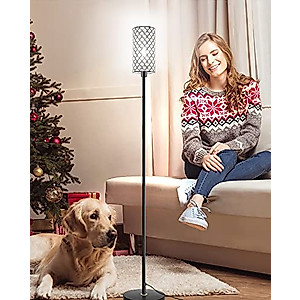 Assemer Touch Crystal Floor Lamp,Modern Sliver Standing Lamps with 3 CCT LED Bulb,Tall Pole Accent Lighting for Living Room,Girl Bedroom,Home Decor,Office
