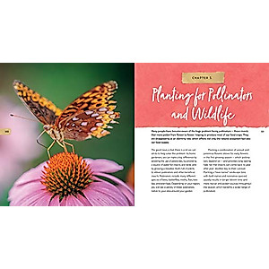 Mini Meadows: Grow a Little Patch of Colorful Flowers Anywhere around Your Yard