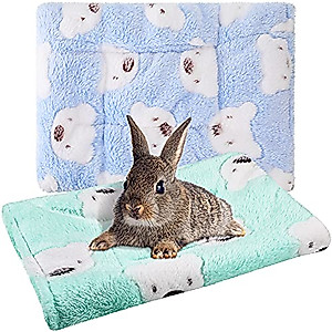Jetec 2 Pieces Guinea Pig Bed Rabbit Bed Small Animal Hamster Warm Mats Winter Warm for Bunny Hamster Squirrel Hedgehog Chinchilla Small Animal Accessories(Green, Blue,Bear Pattern)