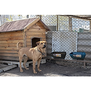 2 Pack Feed Trough and Waterer Bucket with Clips, for Goat Chicken Duck Sheeple Dog Piglets Deer Goose, Turkeys, Goat Feeder Supplies, 4.5 Quart (Appearance Patent Product)