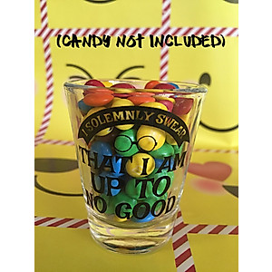GO FROZEN Inspired by Harry Potter Shot Glass-I Solemnly Swear-Mischief Managed