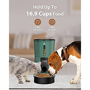 Petory Timed Automatic Cat Feeders - 4L Programable Dry Food Dispenser for Cats and Small Medium Dogs 6 Meals with Desiccant Bag Dual Power Supply 10S Voice Recorder
