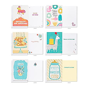 American Greetings Deluxe All Occasion Cards with Envelopes - Birthday, Thanks, Congrats and More (40-Count)