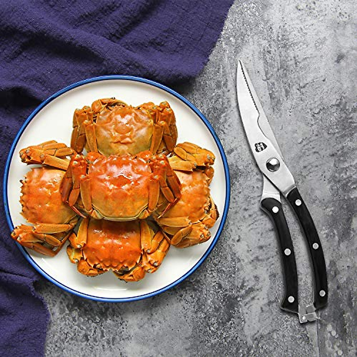 TUO Kitchen Shears - Heavy Duty Kitchen Scissors, Multi-functional Shears for Bone Poultry Meat Fish - German Steel & Pakkawood Handle with Safety Lock - Falcon Series with Gift Box