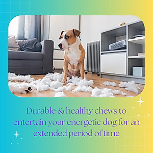 BFF Pet Supply Natural Bully Sticks - 6" Chew Sticks for Dogs - 100% Beef Chews, Free-Range, Grass-Fed, Low-Odor, Fully Digestible Rawhide-Free Treats - 5 Count