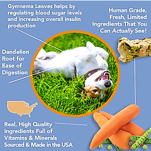 Marcy's Pet Kitchen-Diabetic Dog Treats-Vet Recommend-Homemade - Crunchy, All Natural-Vegan Homemade,-Gluten Free-for Sensitive Stomachs-Made in The USA Only.