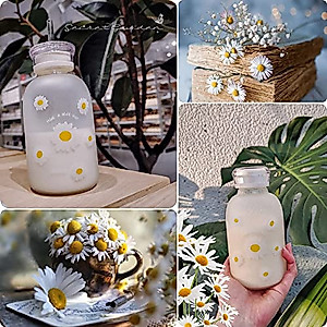 Cute Water Bottles Kawaii Aesthetic Water Bottles Milk Juice Daisy Glass Water Cup for Girls, Straw and 2 Lids, 16 oz (Four flower)