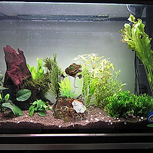 TERNCOEW Aquarium Decorations Small Ornaments Baby Dinosaur In Egg For Fish For Tank Aquatic Pet Supplies With Air Hose Aquarium Heater Light Thermometers Gravel Sand Decorations