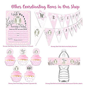 Snowy Owl Blue Welcome Baby Banner - Winter Baby Shower Supplies - Winter Baby Shower Decorations - Snowflake Baby Shower Supplies - Blue Baby Shower Decorations - Blue Shower