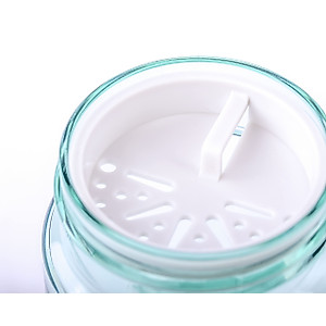 DEDEYA Samily10 oz Tritan Colored Water Bottle,Infuser Small Water Bottle,Lightweight,Resuable,Leak Proof,Wide Opening,Cute and Clear(Green)