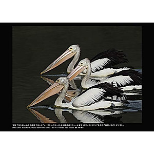 OLYMPUS Mirrorless DSLR OM-D E-M1X Body