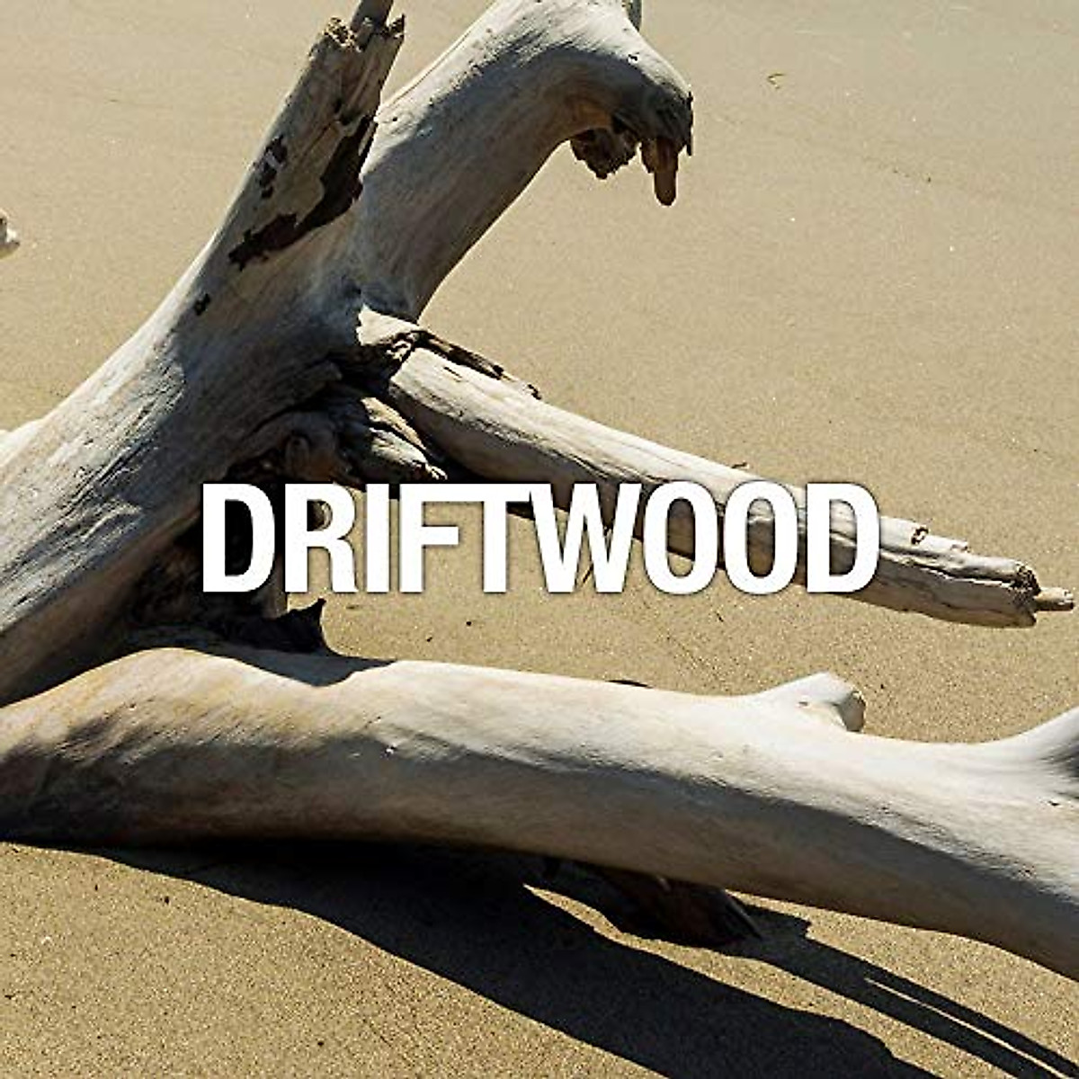 Curve Women's Perfume, Eau De Toilette Spray, Curve Wave, 3.4 Fl Oz