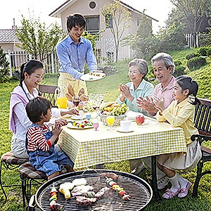 Lapden Folding Portable BBQ Grill Charcoal Barbecue Grill Outdoor Camping Picnic Burner Foldable Charcoal Camping Barbecue Oven