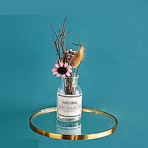 Modern Floating Glass Shelf with Golden Metal Ring for Plants, Books and Other Decorations, Transparent Hanging Shelves in Rooms, Corridors and Wall