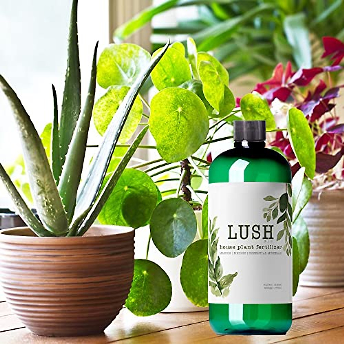 Lush Houseplant Fertilizer | 500ml Concentrated Liquid Fertilizer | Makes Over 50 Gallons | Made in The USA (500ml/16.9oz)