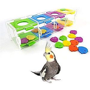 Litewoo Parrot Intelligence Training Toy Color Separation Coin Box Education Interactive Playing Puzzle Toy for Birds Parakeet Cockatiel Amazon Budgie Cockatoo Finch Conures Macaw