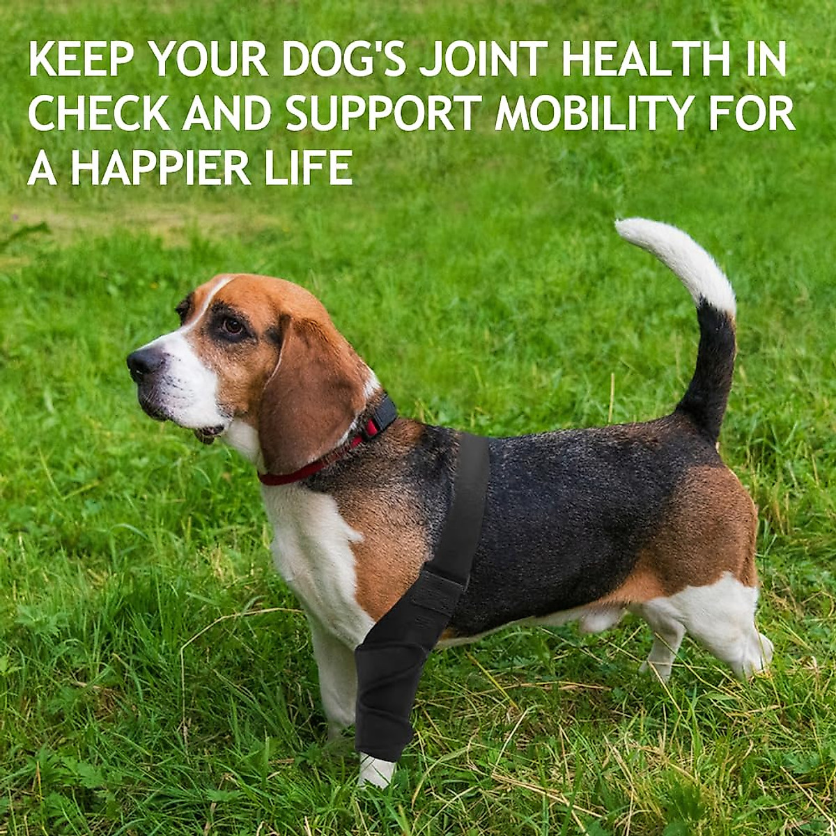 TONTONJIA Dog Knee Brace for Torn Acl Hind Leg Adjustable Dog Back Leg Support Brace, Dog Leg Brace for Hip Dysplasia, Better Recovery with Dog ACL Knee Brace (Medium)