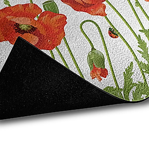 Lunarable Flower Doormat, Spring Wild Flower Poppy Ladybug Leaf Springtime Garden Nature Backyard Print, Decorative Polyester Floor Mat with Non-Skid Backing, 30" X 18", Orange Green