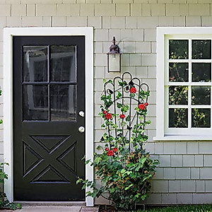 XYADX Meta Detachable Trapezoidal Garden Trellis for Climbing Plants 60 Inches Sturdy Black Patio Plant Support for Indoor Plants Trellis for Rose, Vegetable Flower, Backyard Pack of 2 - Black