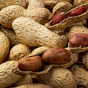 Sandy Land Squirrel Peanuts 25 Pounds Animal Peanut Bag - Ideal Also for Birds, Deer, Chipmunks, Raccoons and Outdoor Wildlife