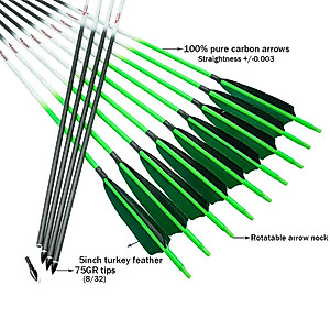 Linkboy Archery Carbon Arrows Hunting Practice Target Arrows Fluorescent with Removable Tip for Compound Recurve Long Bows, Spine 250 300 340 400 500 600 700 800, Pack of 6/12PCS
