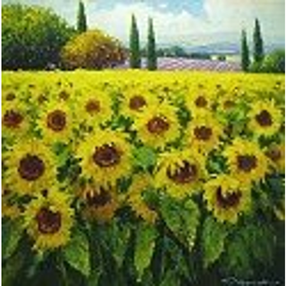 Sunflowers and Lavender