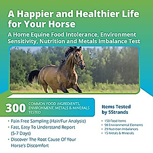 5Strands Equine Health Test, Environmental & Food Intolerance, Nutrition, Metals and Minerals Imbalances, at Home Horse Hair Sample Collection Kit, Results in 7 Days Works for All Ages and Breeds