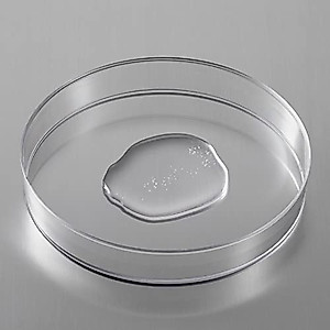 Dirt Phobia Effectem D Toner 6.08 fl oz. Daily Facial Toner, Sebum and Pore Care.